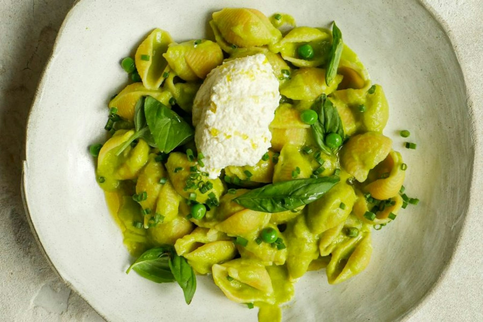 Large Shells - San Remo